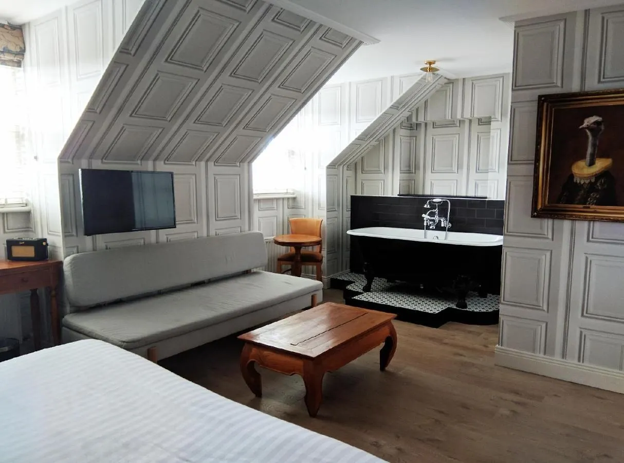 3 Best Pet friendly Guest Houses in Dublin, Ireland |(Updated for 2025)